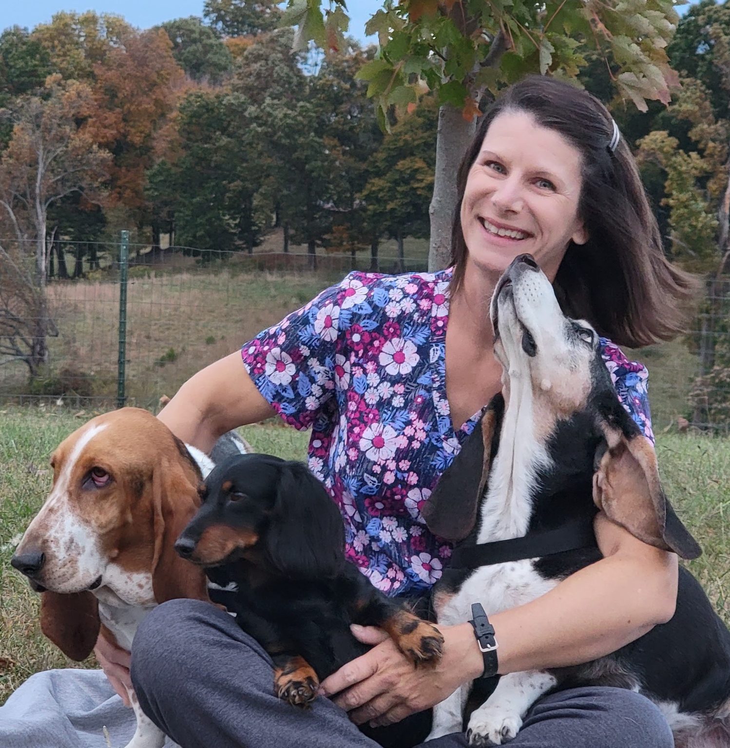 Washington County Johnson City Animal Shelter | Our Team